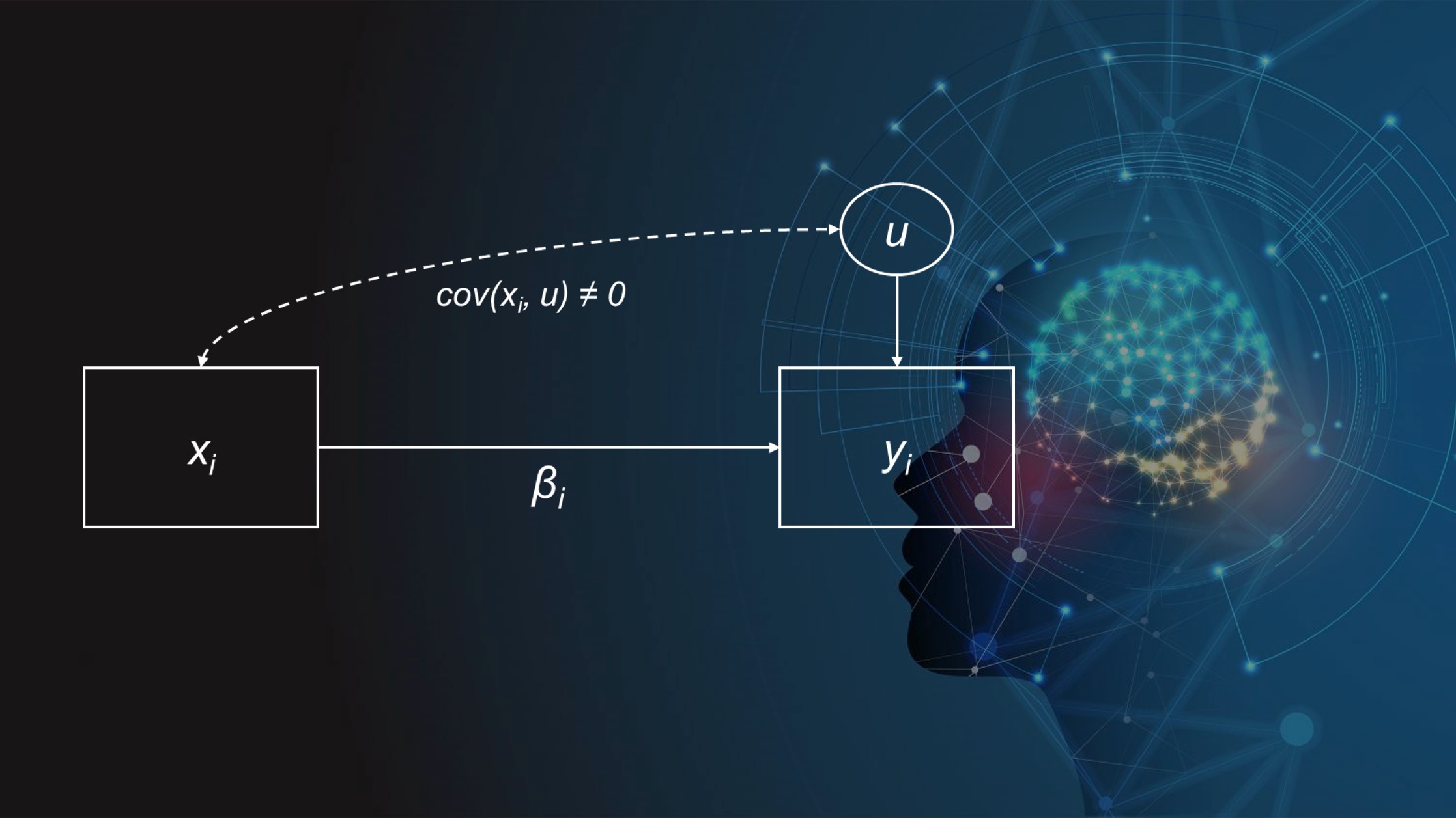 Endogeneity – Navigating Endogeneity